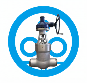 Z961Y-1500LB美标高温高压锻钢闸阀 - 浙江冈山阀门有限公司